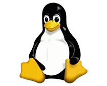 Linux Tutorial->Linux File System | OdinSchool | Learning Hub